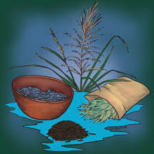 Rice Moon Teaching - Wabano Centre